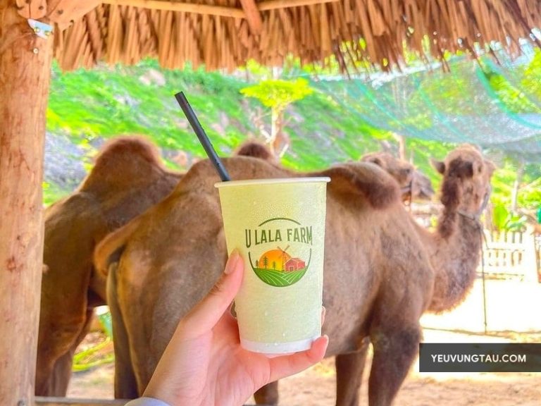 ULALA FARM - Yêu Vũng Tàu